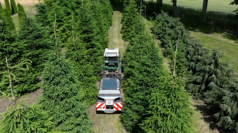 Treeferty en - seed2soil